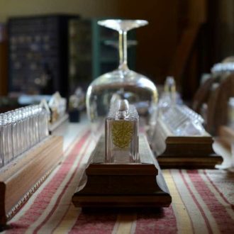 Natural White Musk – Ambrette - Essential Oils