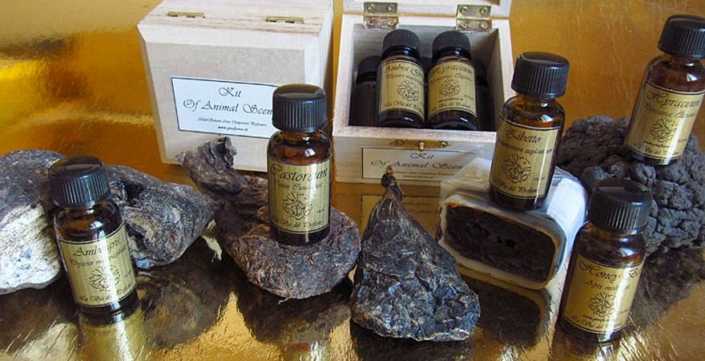 Kit of Animal Scents - Our kit of the animal scents contains the real ...