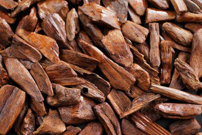 How Oud Perfume is made - The costliest and rarest wood