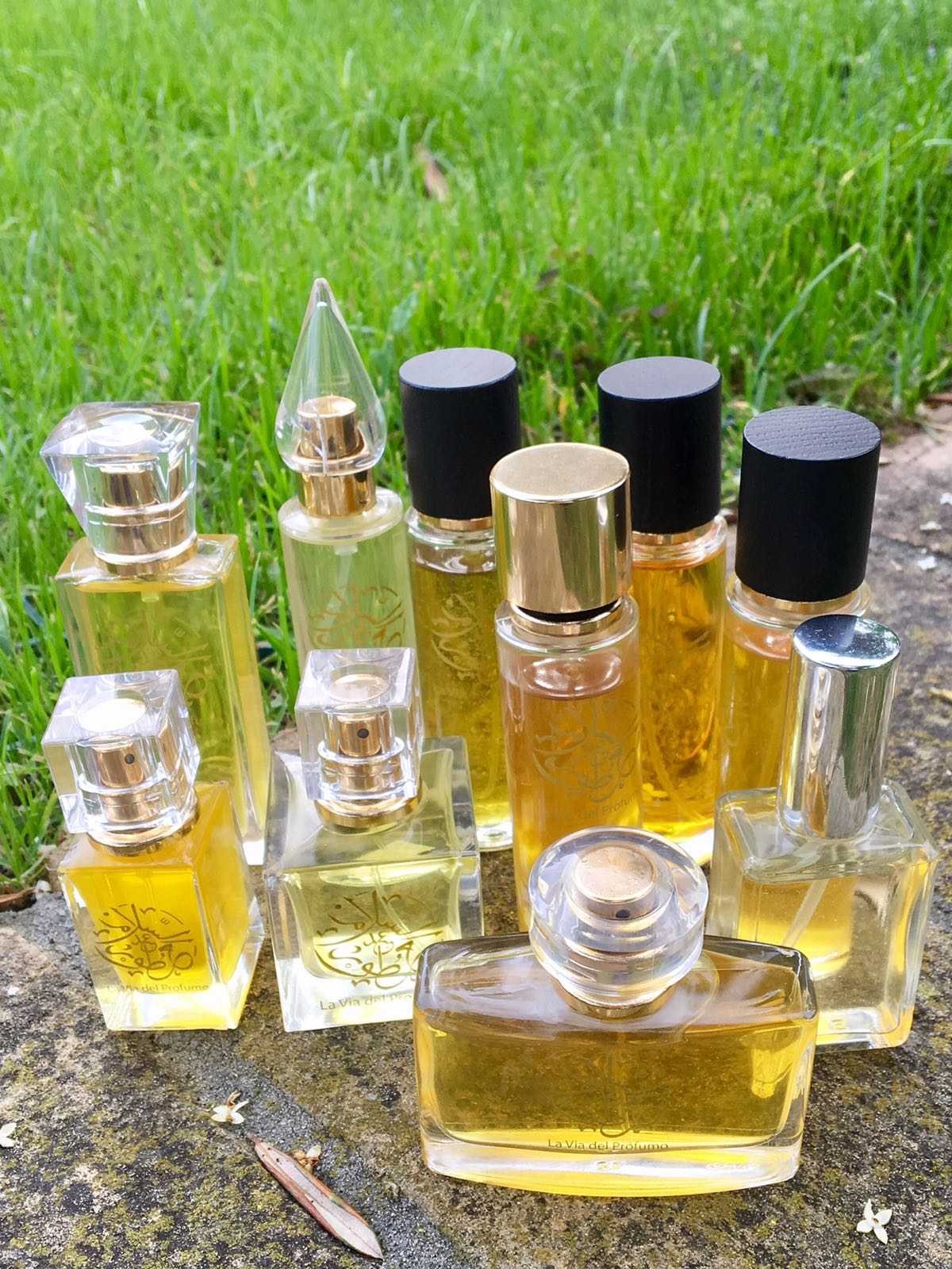Report on May 2017 Perfumery Course – Second part - All Natural ...